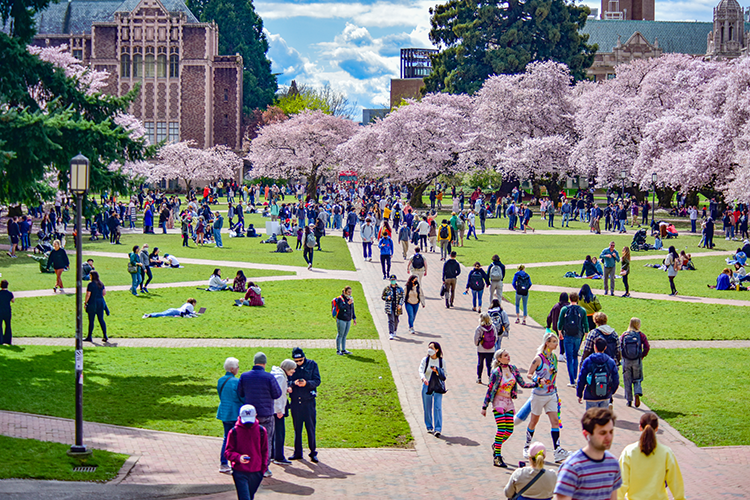 UW College of Education Ranked Among Nation’s Best — with Multiple ...